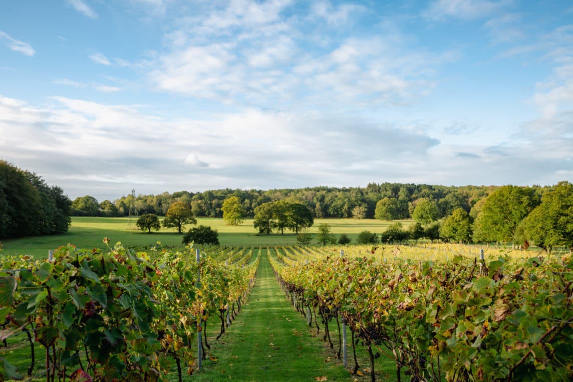 Gallery | Quob Park Estate, Hotel & Spa