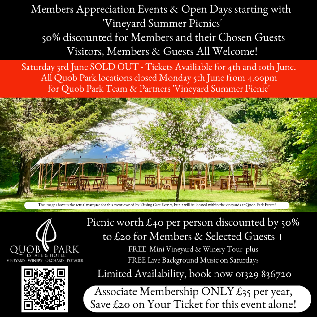 Last Tickets for Members Appreciation Event & Open Day ‘Summer Vineyard ...